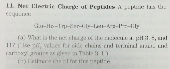 11. Net Electric Charge of Peptides A peptide has the | Chegg.com