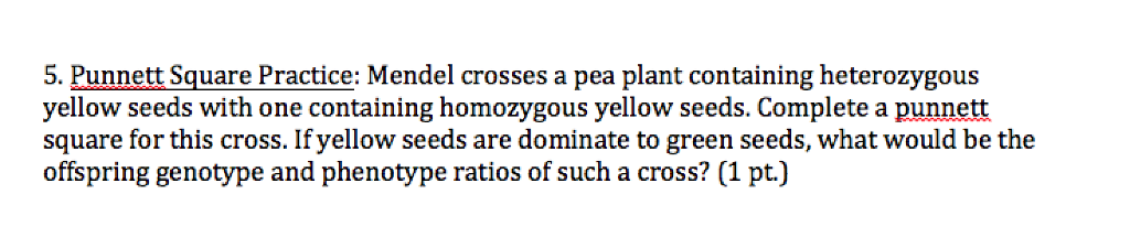 Solved Punnett Square Practice: Mendel crosses a pea plant | Chegg.com