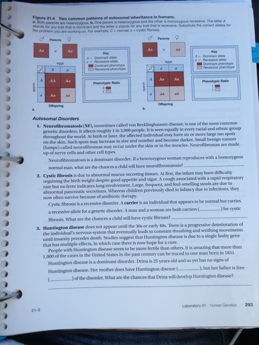 Solved Autosomal Dominant and Recessive Traits Figure 21.2 | Chegg.com