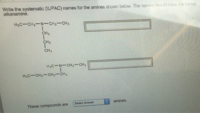 Solved Write the systematic(IUPAC) names for the amines | Chegg.com