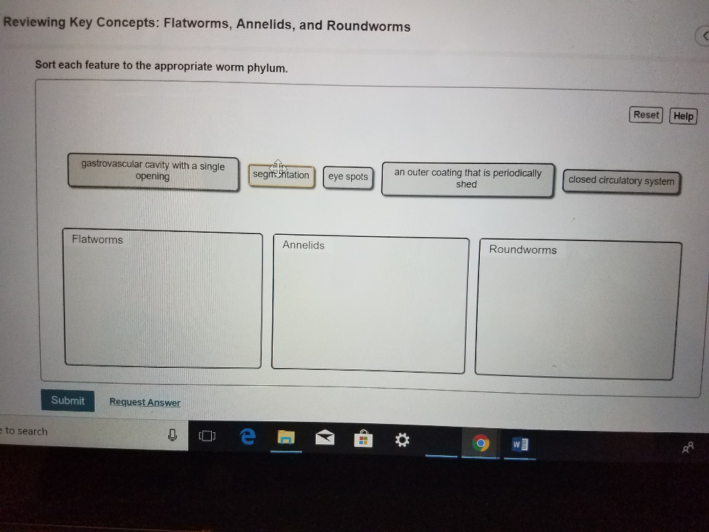 Solved Reviewing Key Concepts: Flatworms, Annelids, and | Chegg.com