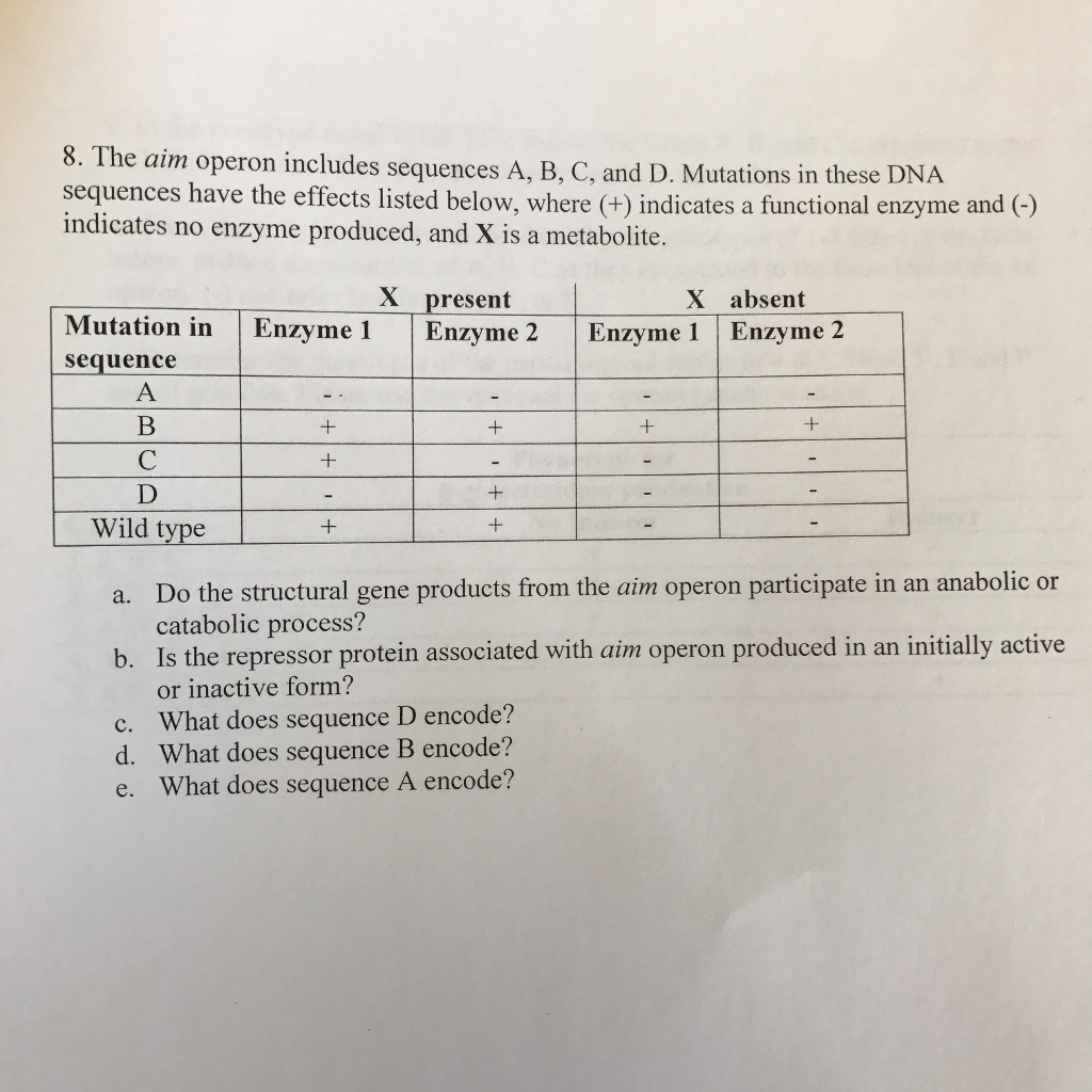 Solved The aim operon includes sequences A, B, C, and D. | Chegg.com
