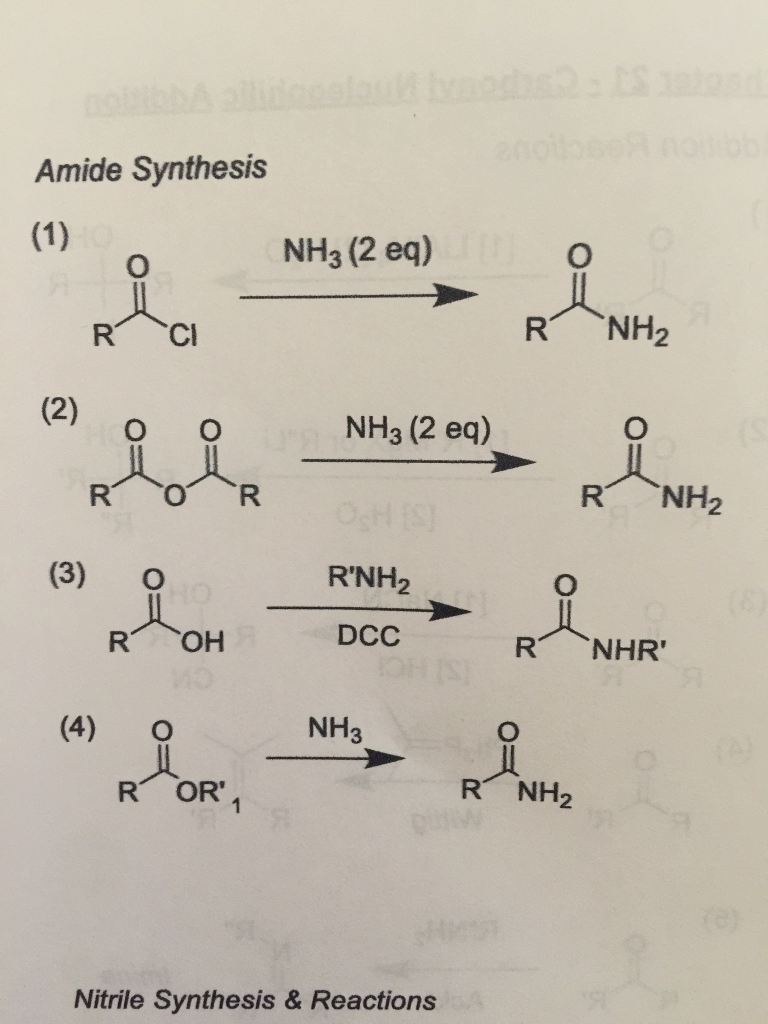 Solved Amide Synthesis NH3 (2 eq) NH Cl (2) NH3 (2 eq) NH | Chegg.com