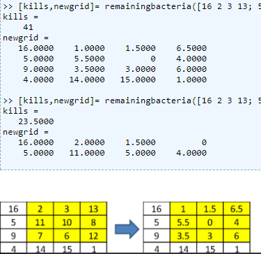 Solved On Matlab consider an experiment where bacteria are | Chegg.com