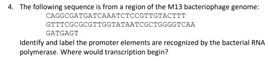 Solved 4. The following sequence is from a region of the M13 | Chegg.com