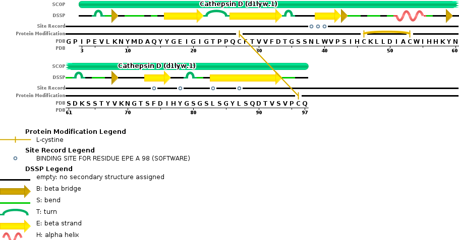 Solved SCOP DSSP Site Record Protein Modification PDBGP | Chegg.com