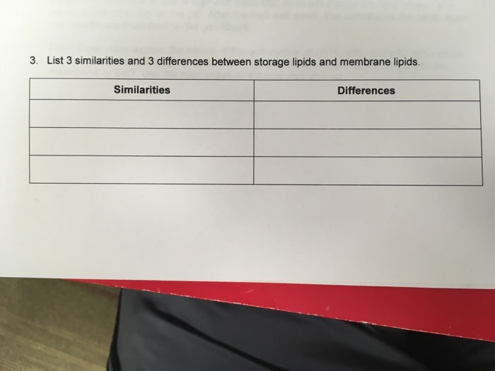 Solved List 3 similarities and 3 differences between storage | Chegg.com