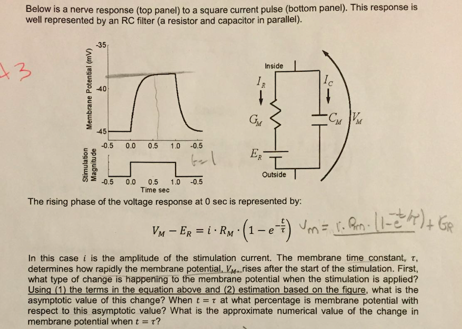Solved Below is a nerve response (top panel) to a square | Chegg.com