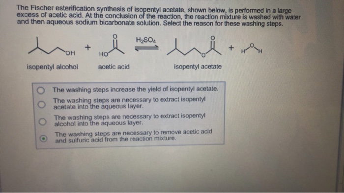 Solved The Fischer esterification synthesis of isopentyl | Chegg.com