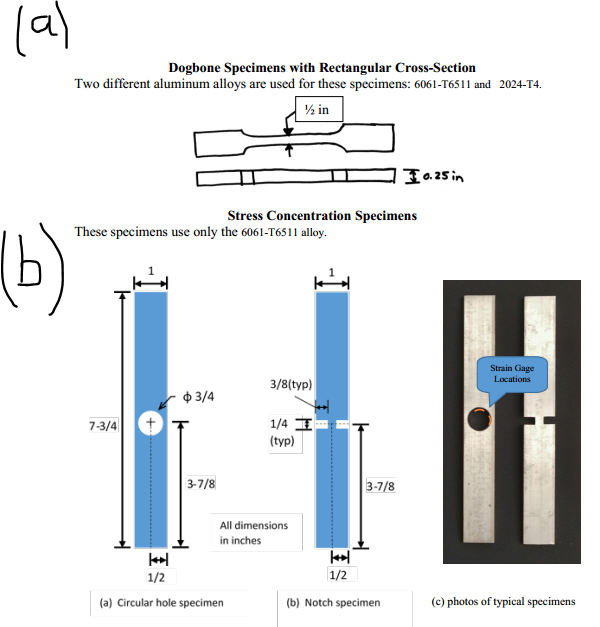 Solved Dogbone Specimens with Rectangular Cross-Section Two | Chegg.com