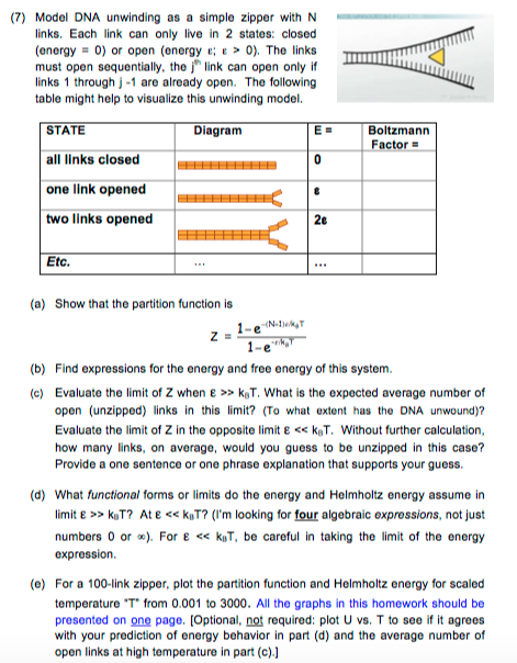 Solved (7) Model DNA unwinding as a simple zipper with N | Chegg.com