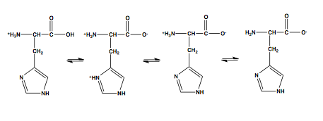 Solved Histidine has ionizable groups with pKa values of | Chegg.com