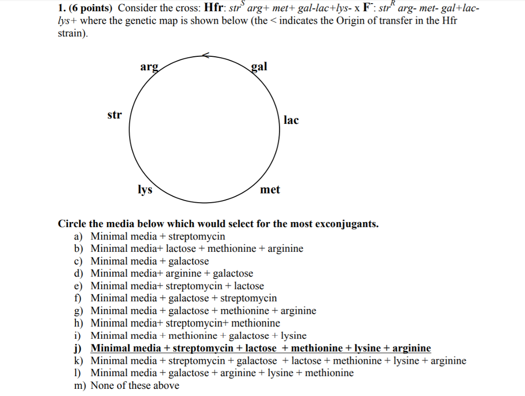 Solved How do you determine the specific exconjugants from | Chegg.com