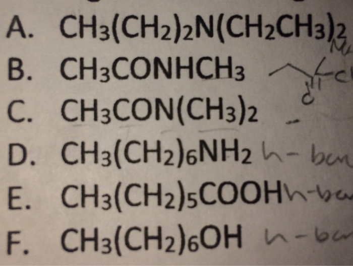 Solved A. CH3(CH2)2N (CH2CH3)2 B. CH3CONHCH3 C. CH3CON | Chegg.com