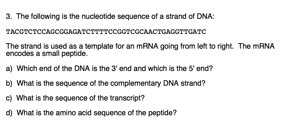 Solved The following is the nucleotide sequence of a strand | Chegg.com