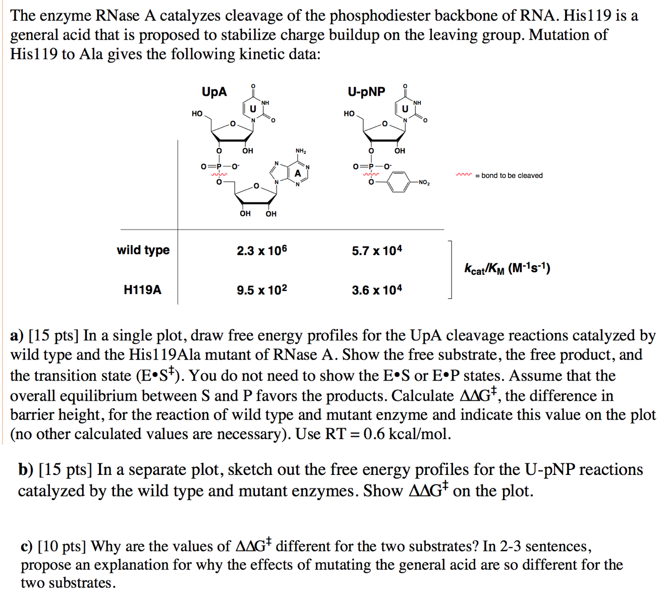 Solved The enzyme RNase A catalyzes cleavage of the | Chegg.com
