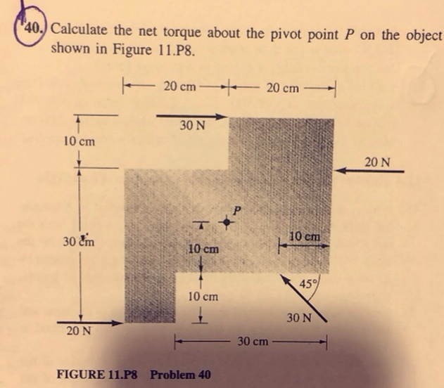 Solved Calculate the net torque about the pivot point P on | Chegg.com