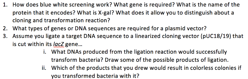 Solved How does blue white screening work? What gene is | Chegg.com