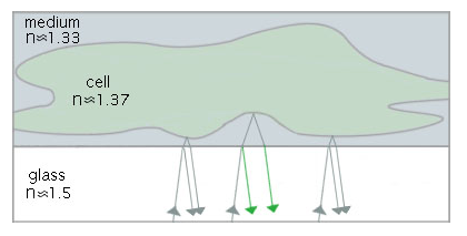 Solved PROBLEM 1: Interference reflection microscopy is | Chegg.com