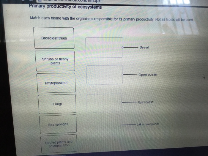 Solved Ecosystems versus communities Classify the terms as | Chegg.com