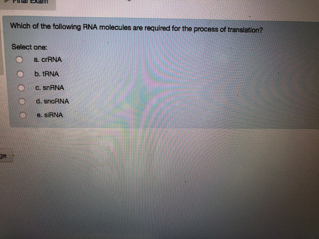 Solved which of the following RNA molecules are required for | Chegg.com