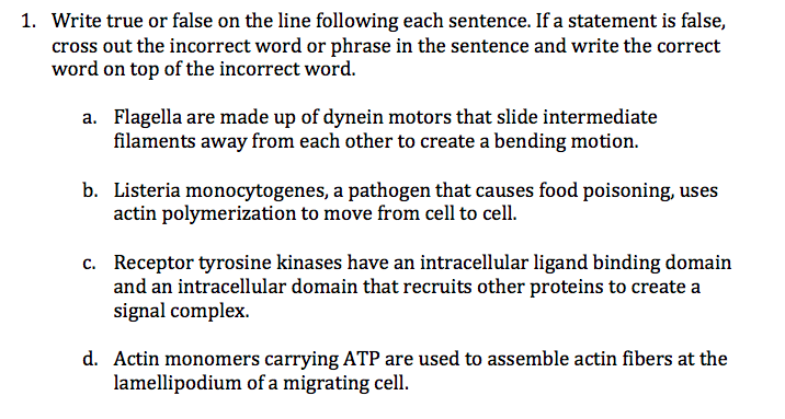 Solved Write true or false on the line following each | Chegg.com