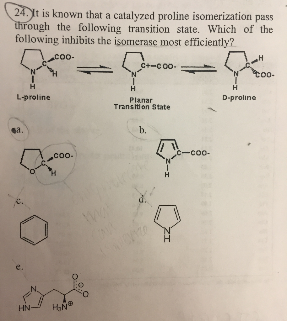 Solved 24.It is known that a catalyzed proline isomerization | Chegg.com