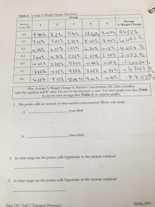 Solved The potato cells are isotonic at what sucrose | Chegg.com
