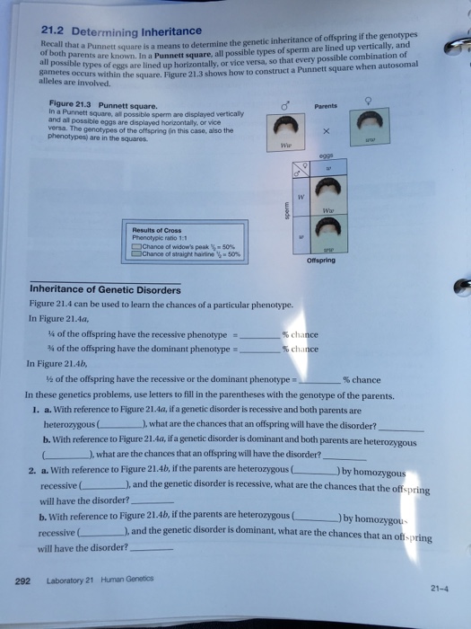 Solved Autosomal Dominant and Recessive Traits Figure 21.2 | Chegg.com