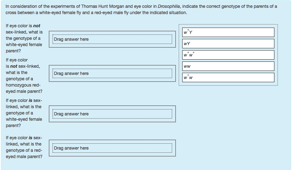 Solved In consideration of the experiments of Thomas Hunt | Chegg.com