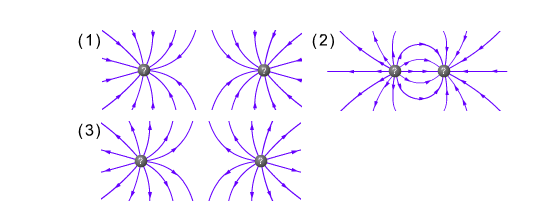 Solved The three electric field diagrams labeled "1", "2", | Chegg.com