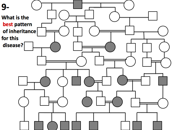 Solved 7 What is the best pattern of inheritance in this | Chegg.com