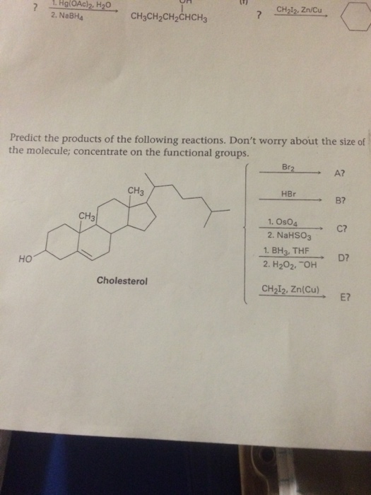 Solved Predict the products of the following reactions. | Chegg.com