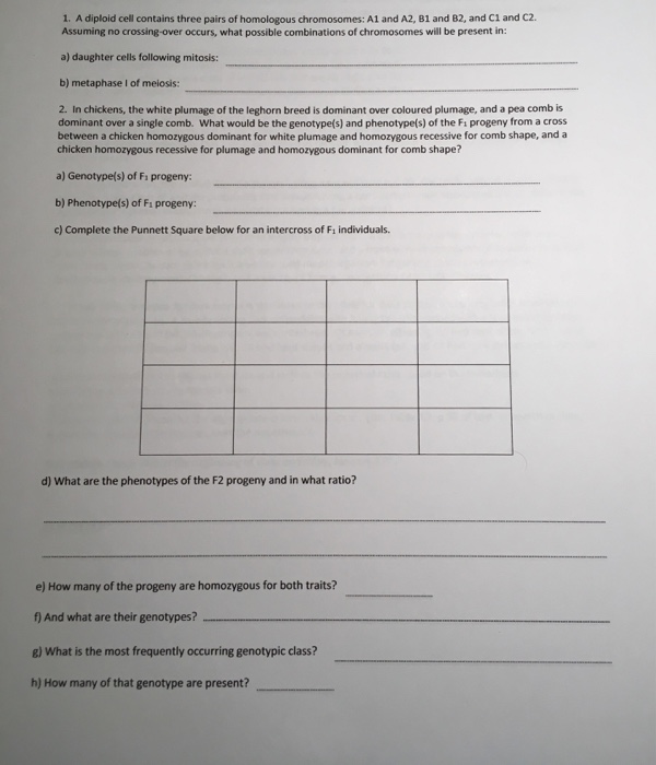 Solved A diploid cell contains three pairs of homologous | Chegg.com