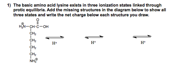 Lysine Ionized Structure