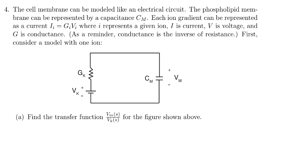 Solved 4. The cell membrane can be modeled like an | Chegg.com