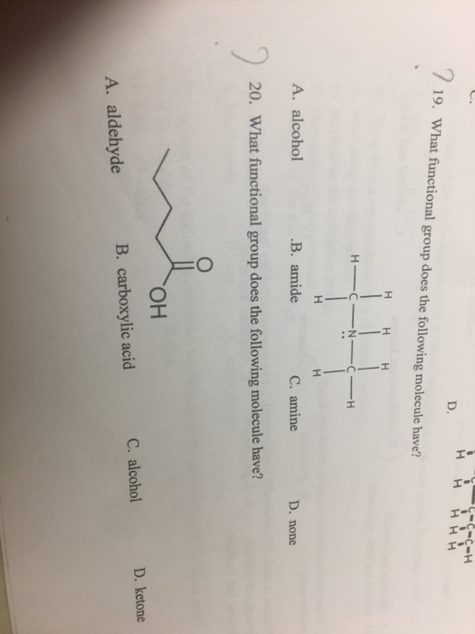 Solved What functional group does the following molecule | Chegg.com
