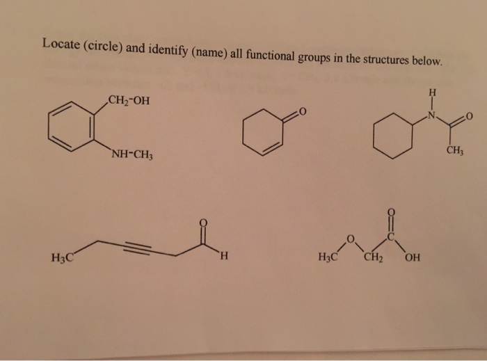 Solved Locate (circle) and identify (name) all functional | Chegg.com