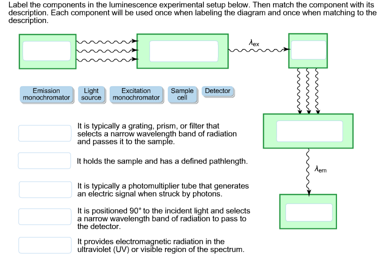 Solved ASKED 3 TIMES WITH NO ANSWER YET Label the | Chegg.com