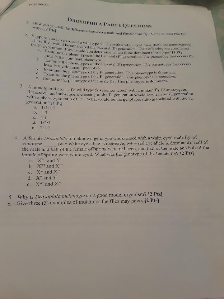 Solved PR 30631 DROSOPHILA PART IQUESTIONS I. How can you | Chegg.com