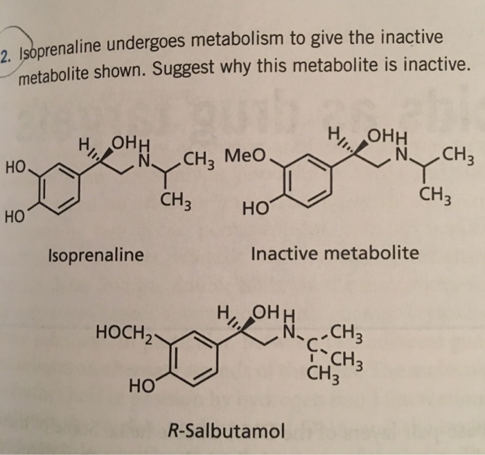 Solved Isoprenaline undergoes metabolism to give the | Chegg.com