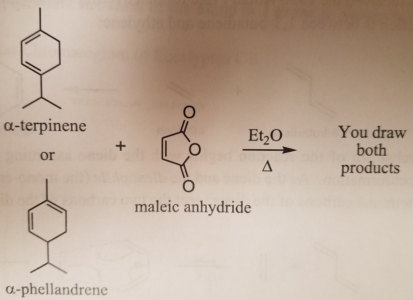 Solved a-terpinene You draw both products Et2O or maleic | Chegg.com