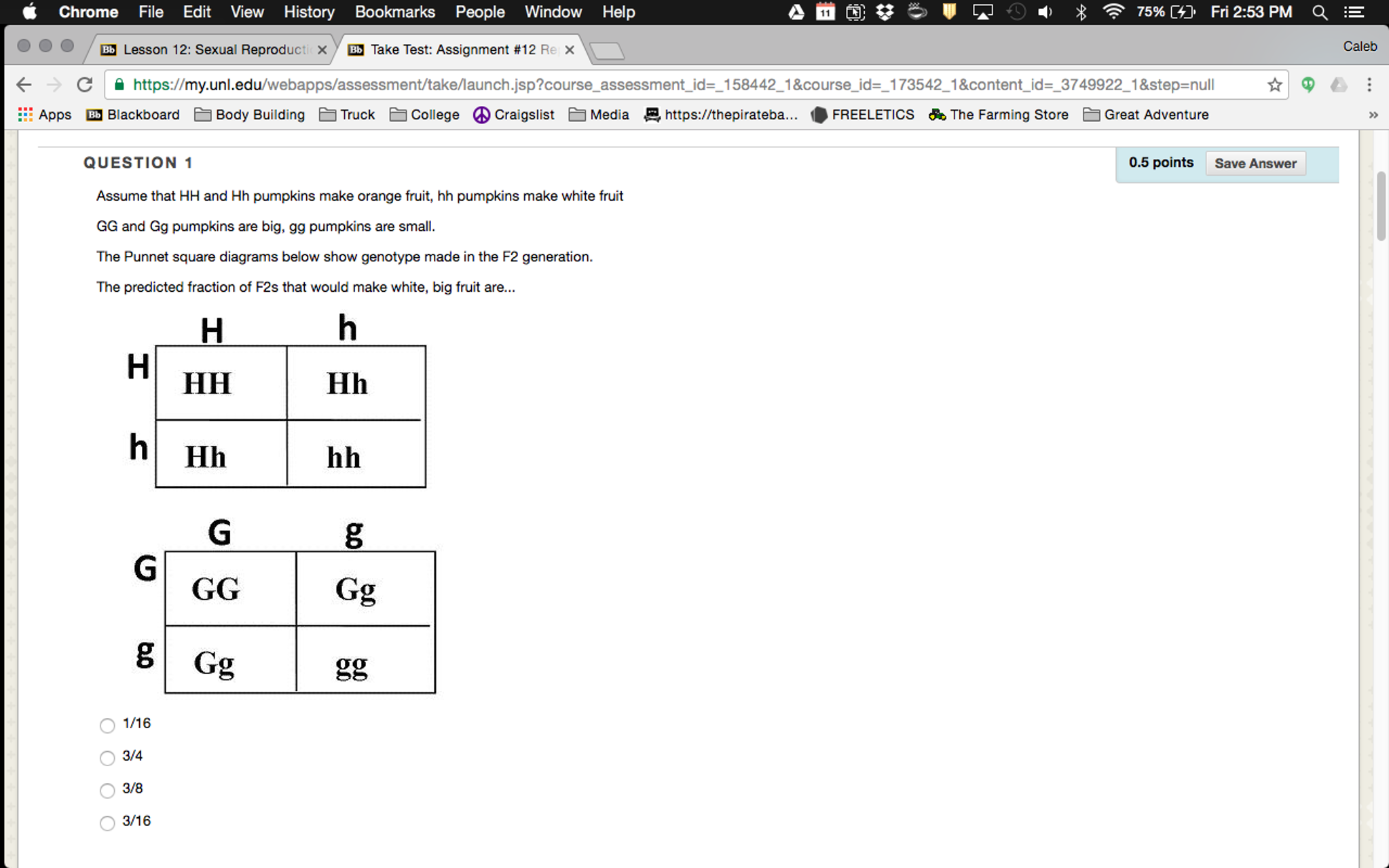 Solved Chrome File Edit View History Bookmarks People Window | Chegg.com