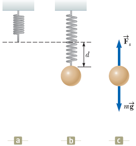 Solved: A Common Technique Used To Measure The Force Const... | Chegg.com