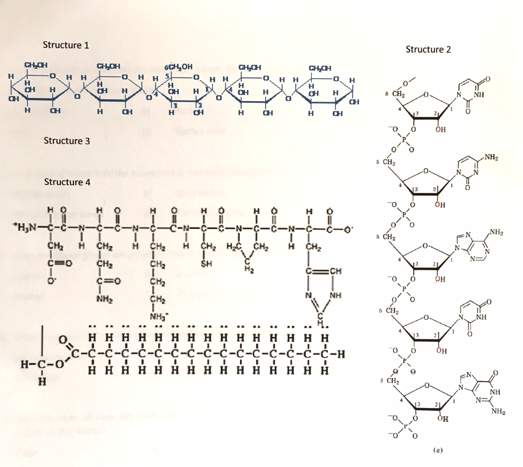 Solved What functional groups are present in each molecule? | Chegg.com