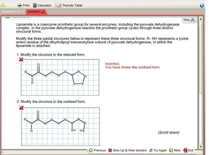 Solved Lipoamide is a coenzyme prosthetic group for several | Chegg.com