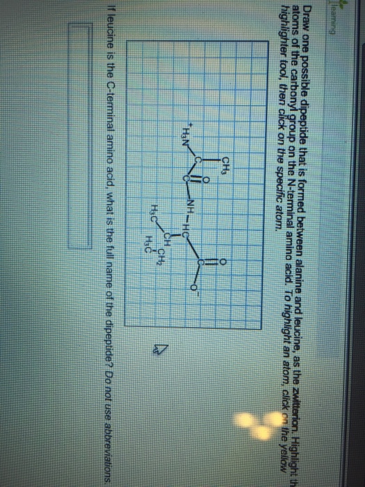 Solved Highlight th Draw one possible dipeptide that is | Chegg.com