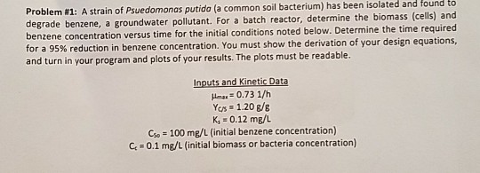 Solved Pro blem #1: A strain of Psuedomonas putida (a common | Chegg.com