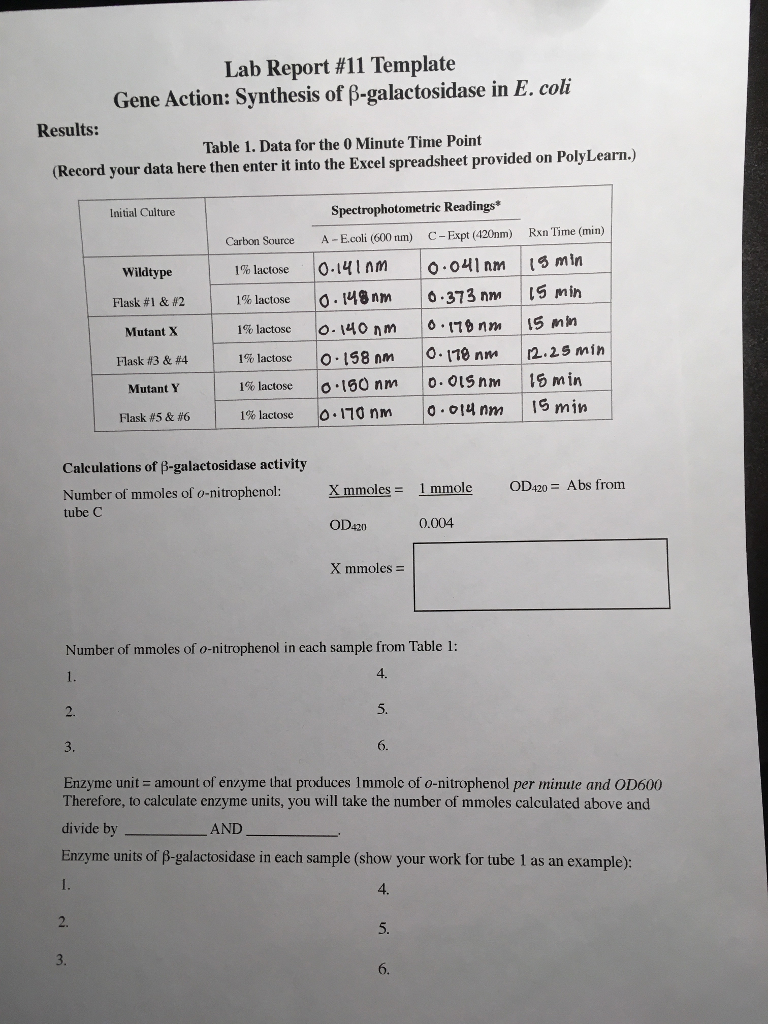 Lab Report #11 Template Gene Action: Synthesis of | Chegg.com