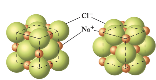 Solved How we know it occupies octahedral holes? | Chegg.com